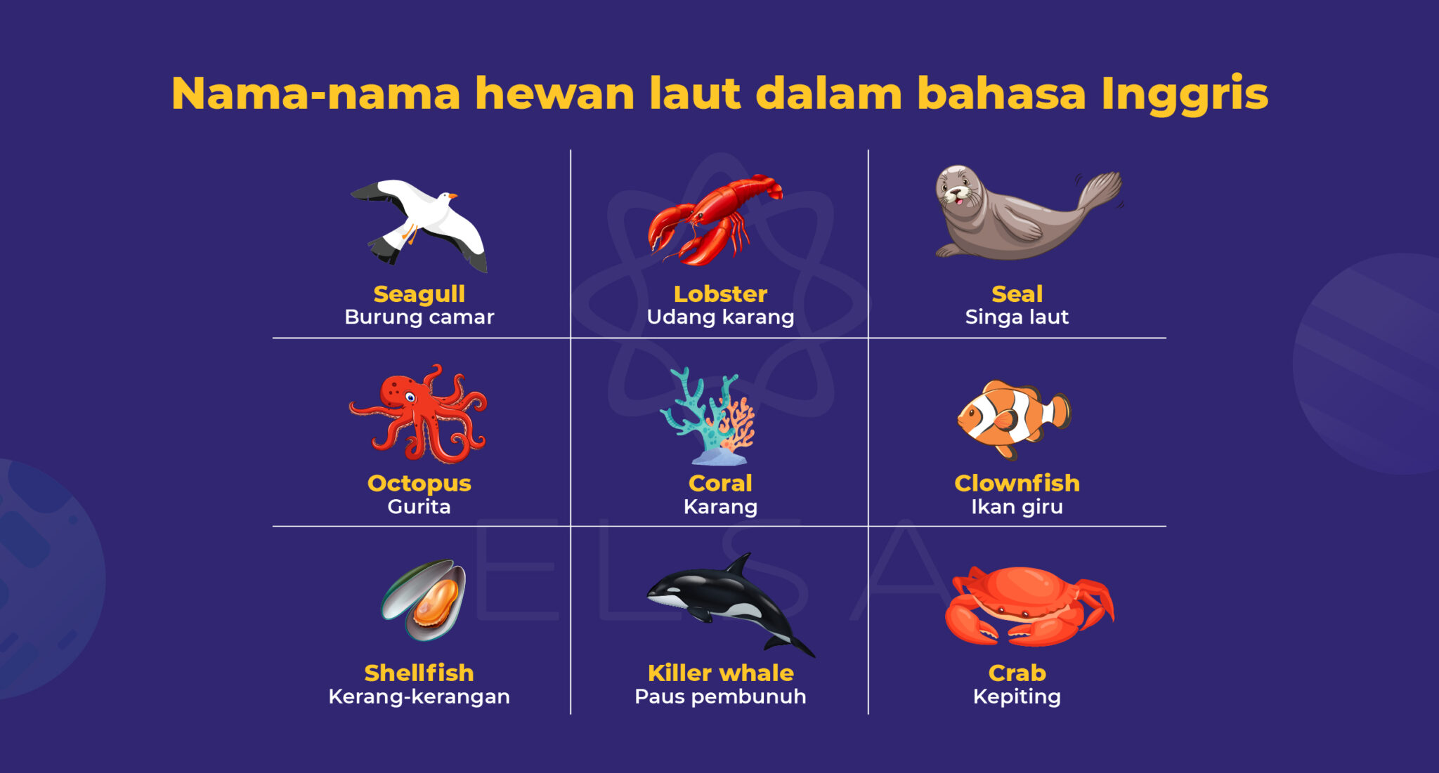 Nama-nama hewan dalam bahasa Inggris dan artinya
