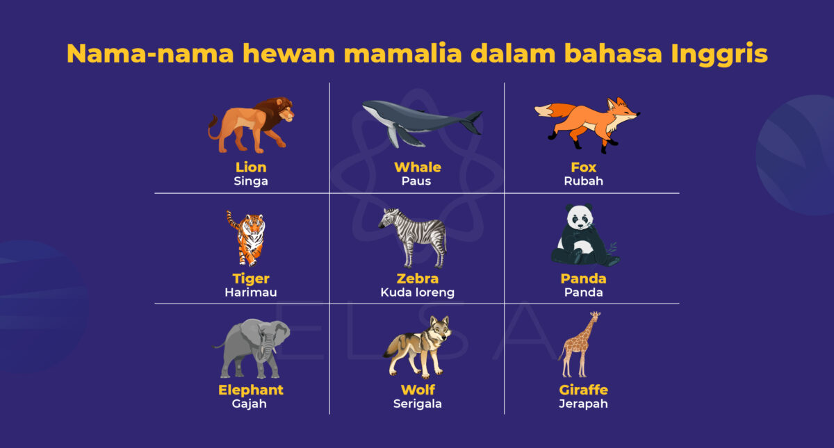 Nama-nama hewan dalam bahasa Inggris dan artinya